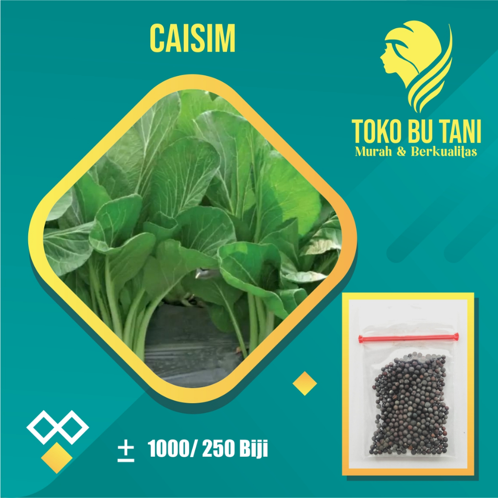 Jual Benih Sawi Caisim Hidroponik 1000mg (250 Biji) | Shopee Indonesia