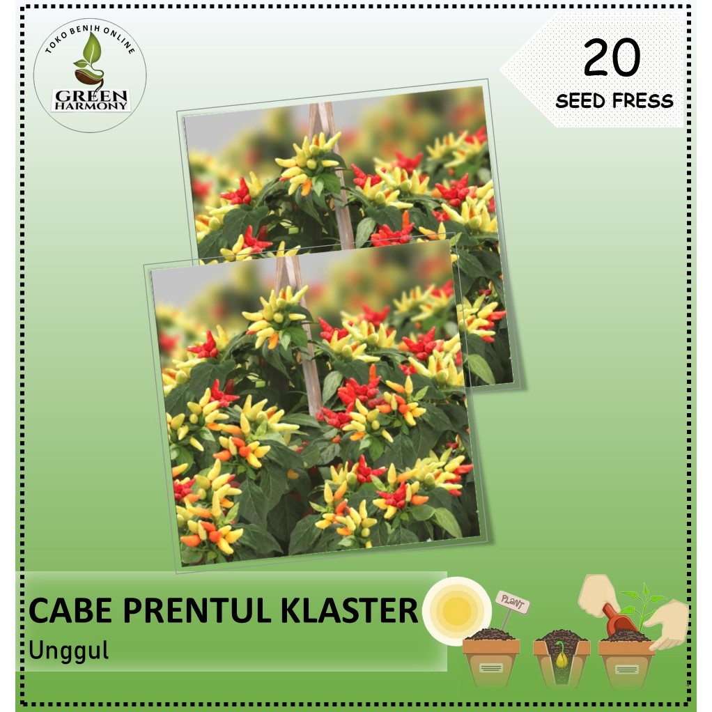 Jual Bibit Cabe Rawit Prentul Klaster Unggul Isi 20 Benih | Shopee ...