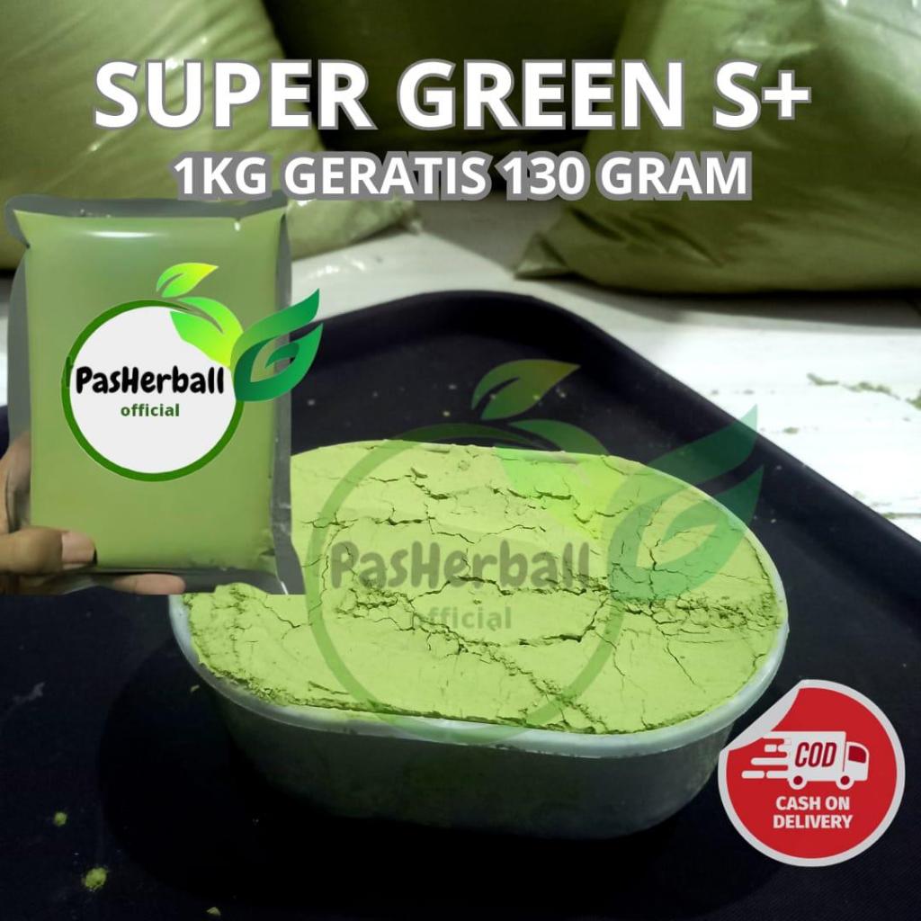 Jual geratis 130 gram passherbal bubuk daun purli bubuk purli bubuk ...