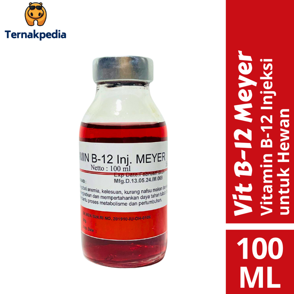 Jual Vitamin B12 Inj Meyer 100 ml - B-12 Injeksi - Meningkatkan Daya ...