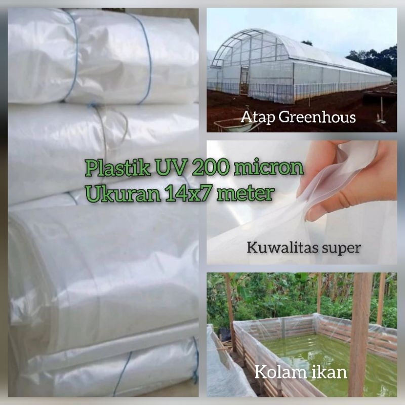 Jual Plastik UV 200 micron ukuran 13x7 meter | Shopee Indonesia