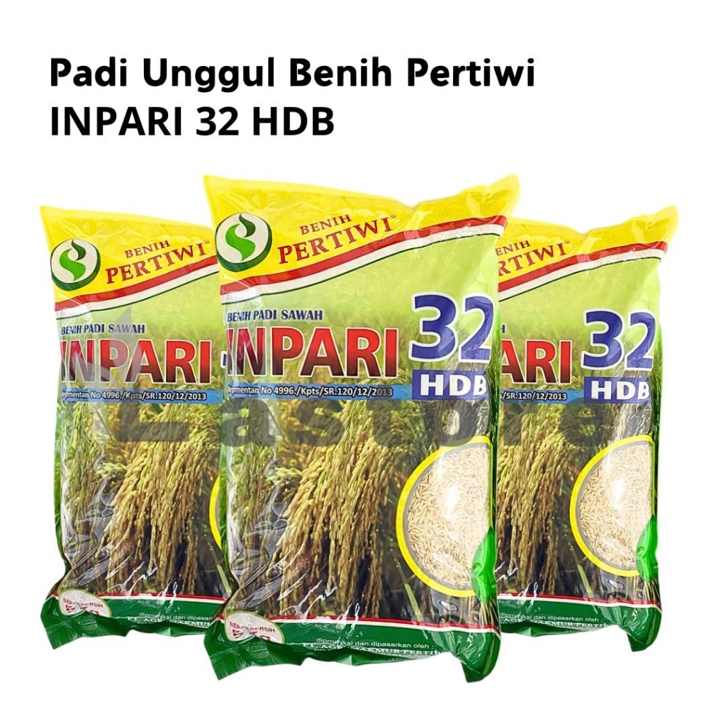 Jual Benih Padi Sawah Unggul INPARI 32 HDB 5 Kg Benih Pertiwi | Shopee Indonesia