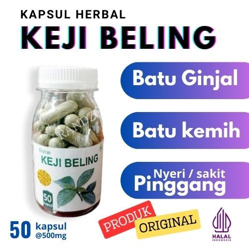 Jual keji beling obat sakit pinggang batu ginjal paling ampuh batu ...