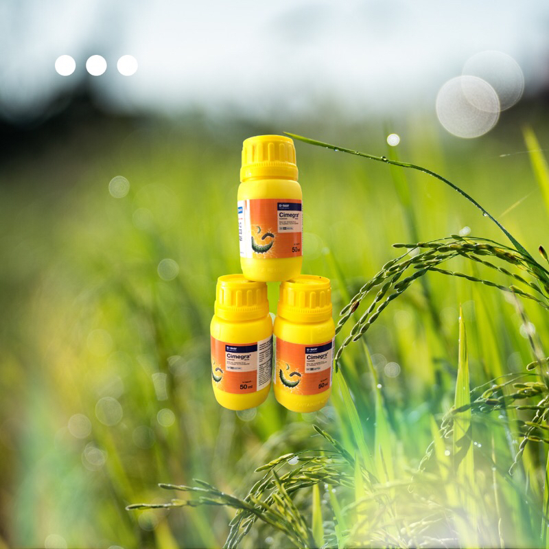Jual Cimegra insektisida 50ml | Shopee Indonesia