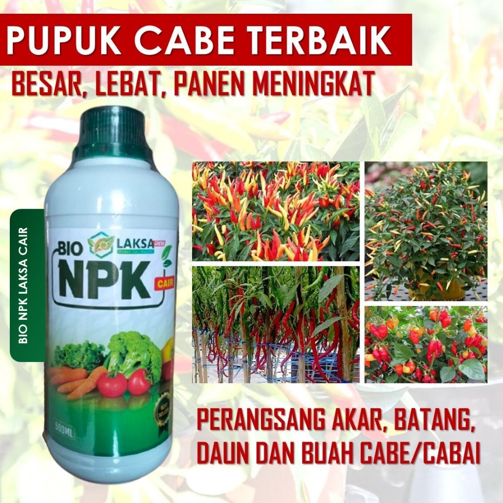 Jual NPK LAKSA GROW 500 ML - Pupuk Pelebat Untuk Cabe, Pupuk Pelebat Buah Cabe Kuat dan Sehat ...