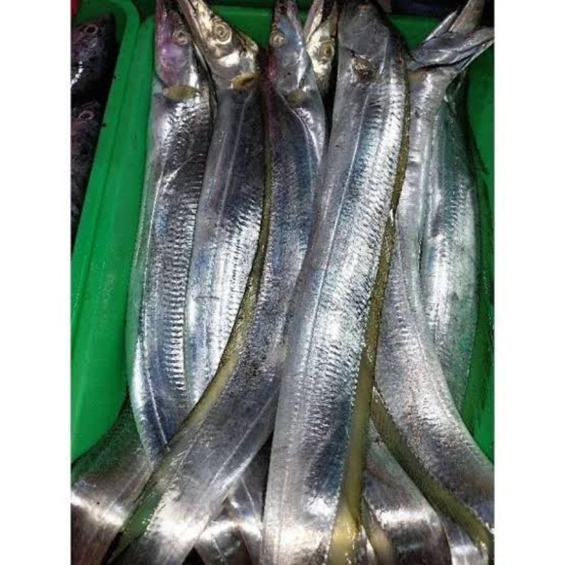 Jual ikan layur segar 500 gr | Shopee Indonesia Jual ikan layur segar 500 gr | Shopee Indonesia
