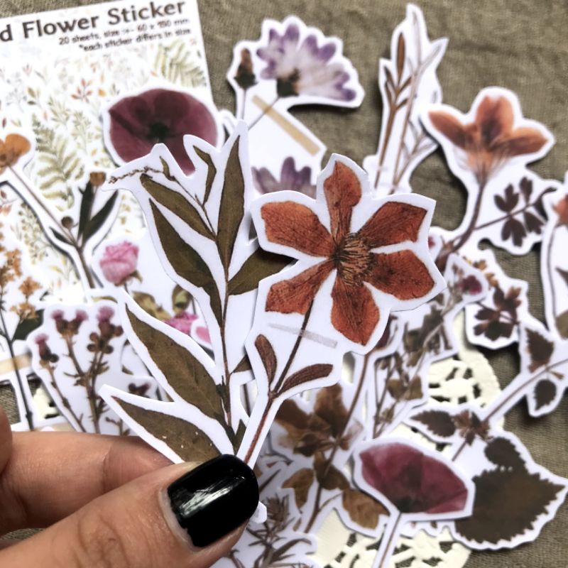 Jual sticker bunga geprek, sticker bunga kering, flower sticker for ...
