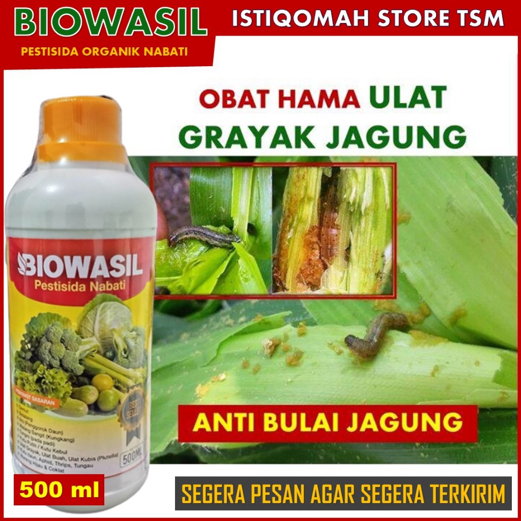 Jual 500 ML Pestisida Semprot Organik Anti Hama Ulat Grayak Jagung ...