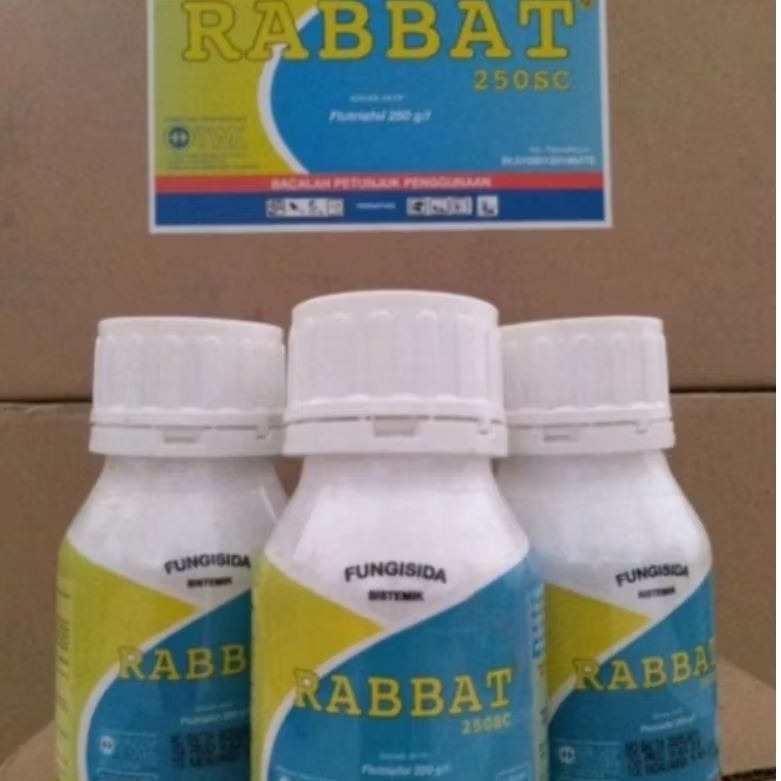 Jual FUNGISIDA RABBAT 250SC ISI 100ml OBAT PENCEGAH DAN PEMBASMI JAMUR ...