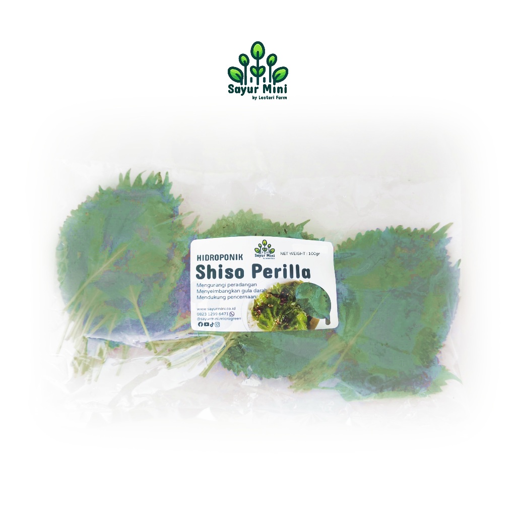 Jual SAYUR MINI Hidroponik Shiso Perilla / Ohba Jepang 100gr - Fresh ...