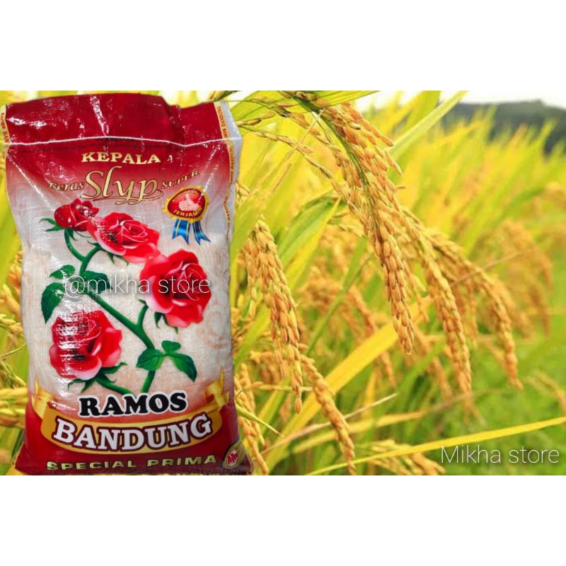 Jual Beras bunga bandung super 10 kg - free ongkir | Shopee Indonesia