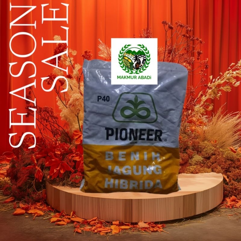 Jual Benih jagung hibrida Pioneer p40 family 1kg | Shopee Indonesia