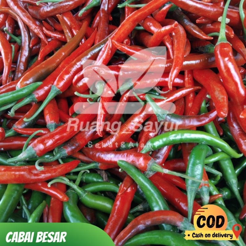 Jual Cabe Merah Besar , Cabai Merah , Cabai Merah Besar 1 Kg | Shopee ...