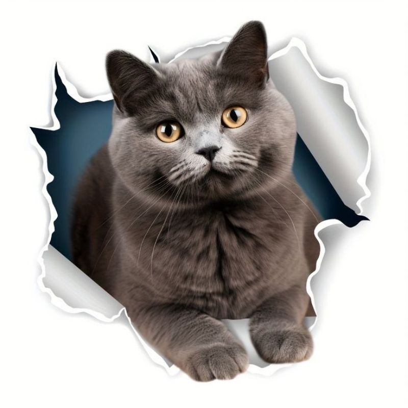Jual stiker gambar kucing lucu size 15x20 print cut | Shopee Indonesia