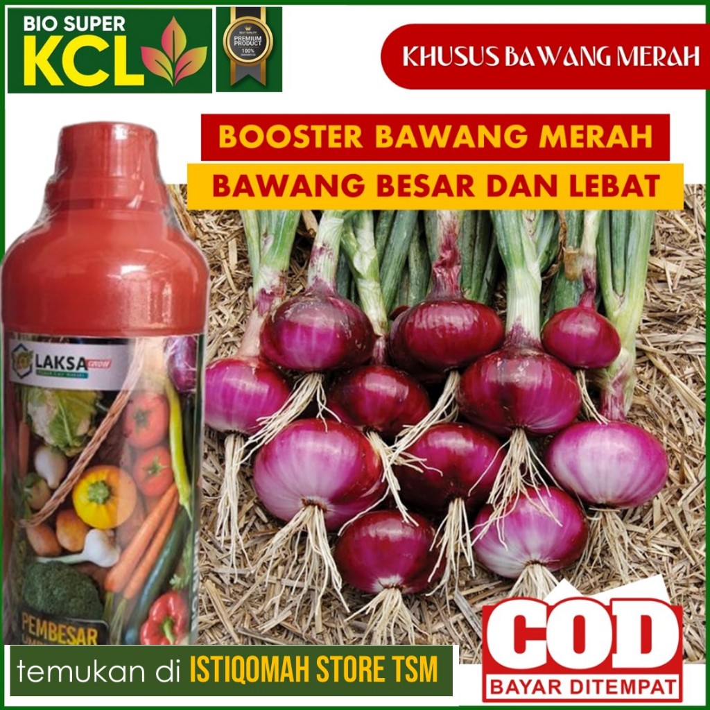 Jual 500 ML BIO KCL Booster Umbi Bawang Merah Organik Semprot Manjur Dan Terbaik - Pupuk Organik ...