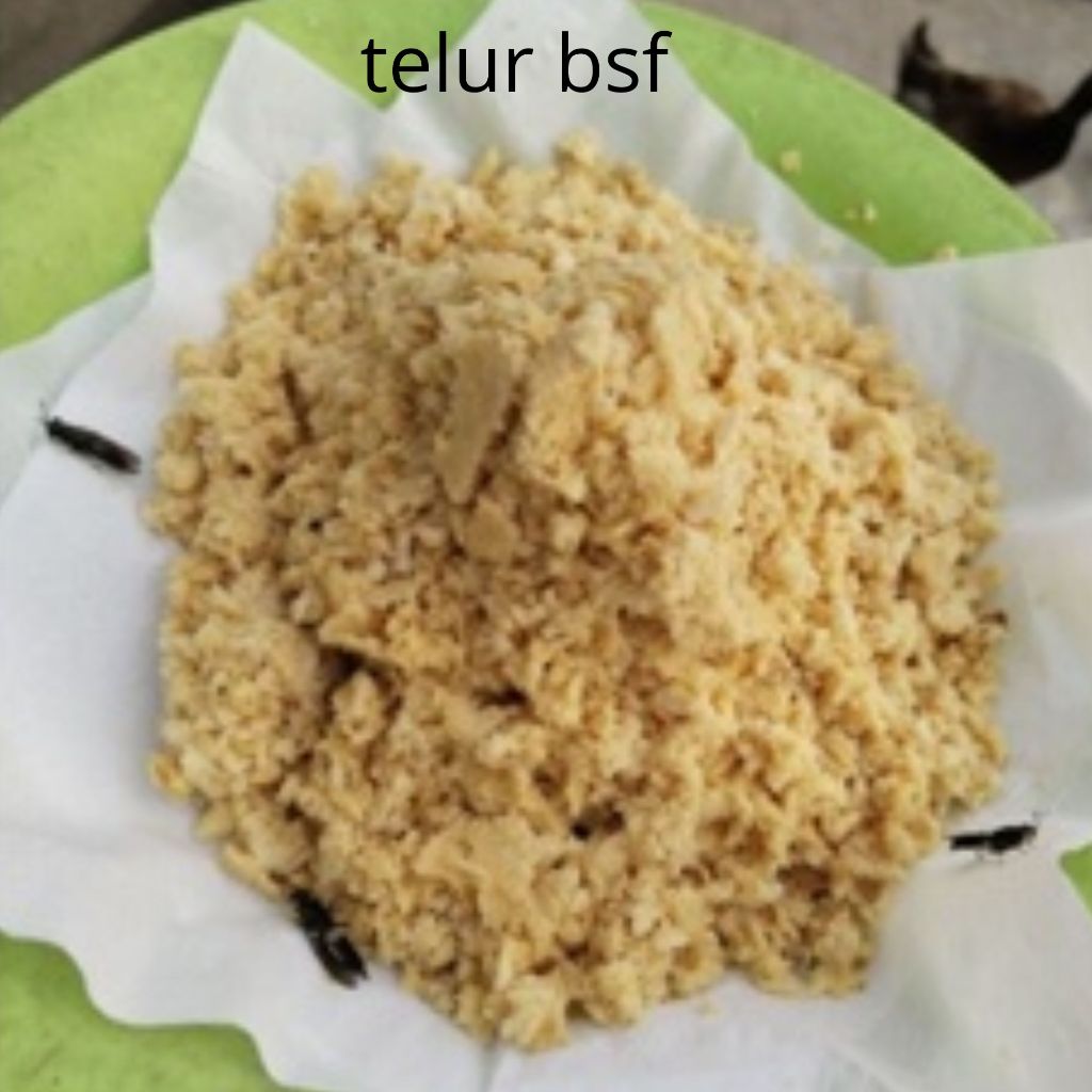 Jual telur lalat maggot bsf 1 grm.bibit berkualitas minimal 10 grm ...