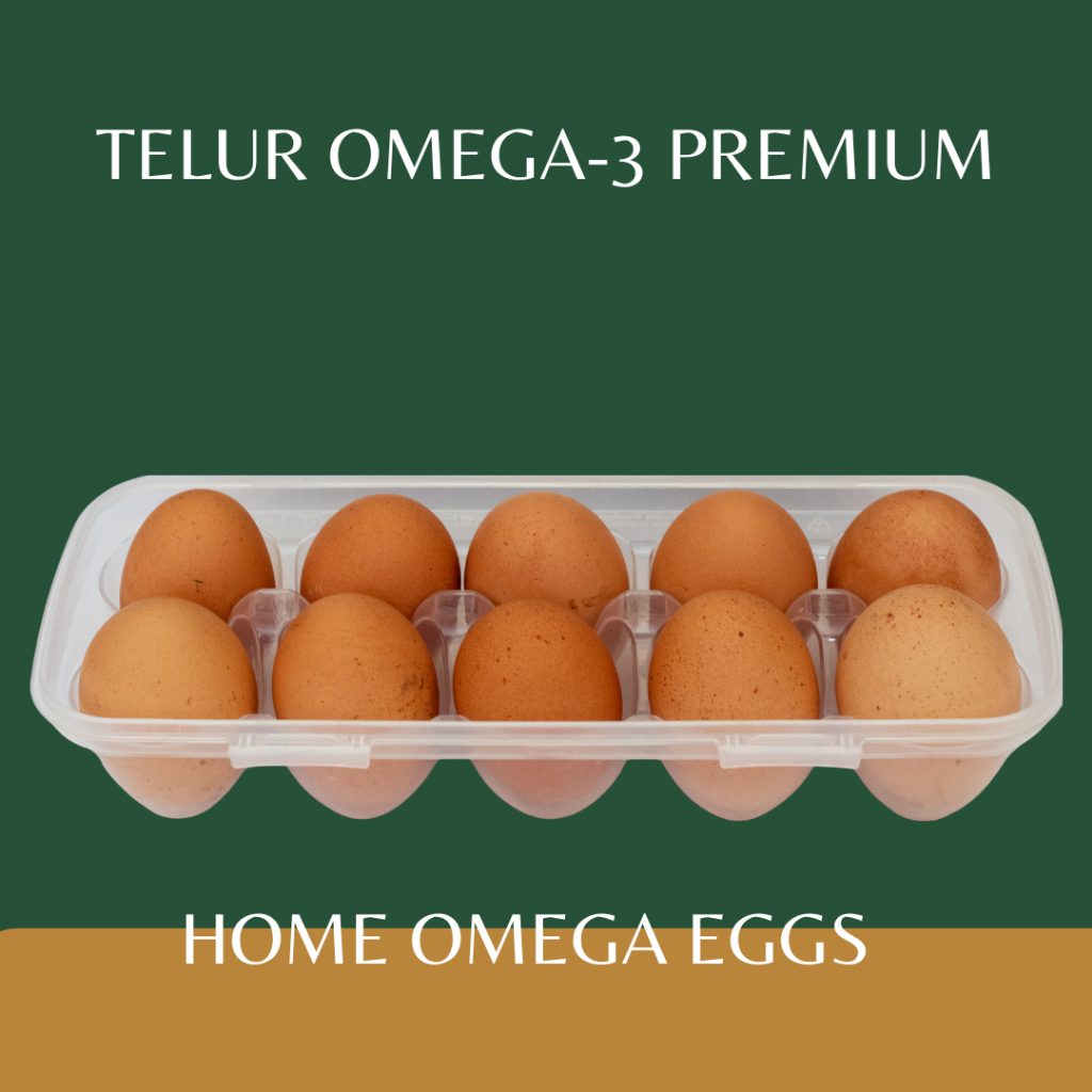 Jual Home Omega Eggs Telur Ayam Red Yolk (Omega-3) Isi 10 Pcs | Shopee ...