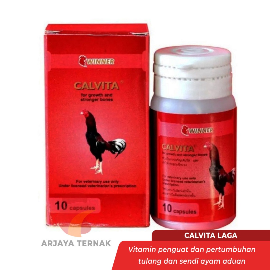 Jual WINNER CALVITA 10 kapsul - calsium ayam laga untuk memperkuat ...
