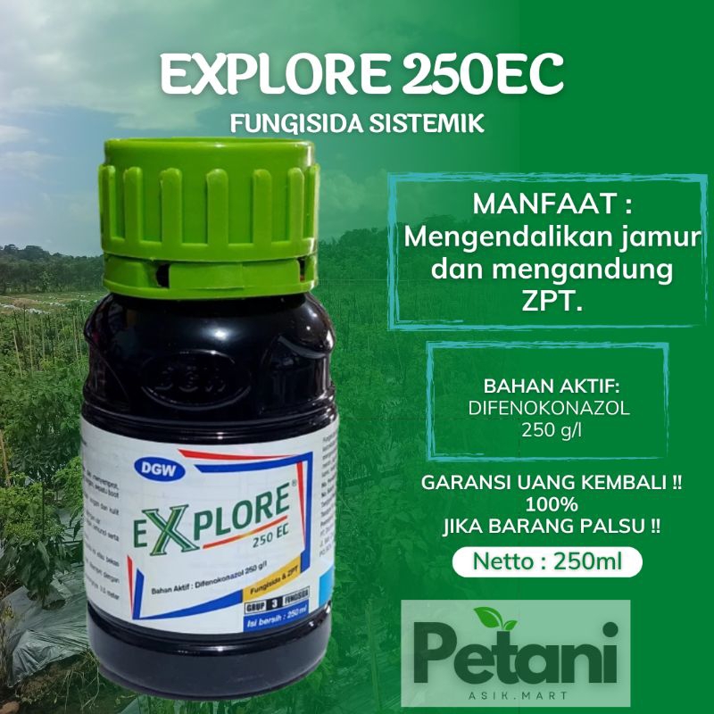 Jual EXPLORE 250EC 250ML FUNGISIDA SISTEMIK DIFENOKONAZOL 250g/l ...