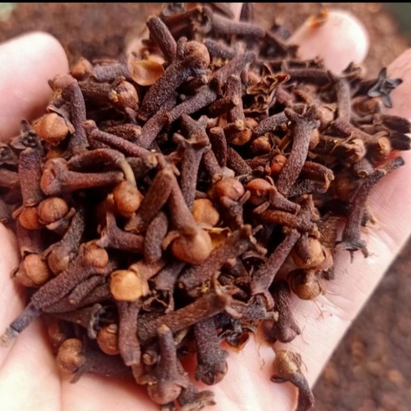 Jual Cengkeh Kualitas Premium/Clove Whole Bunga Cengkih Kering Fresh 250 gram | Shopee Indonesia