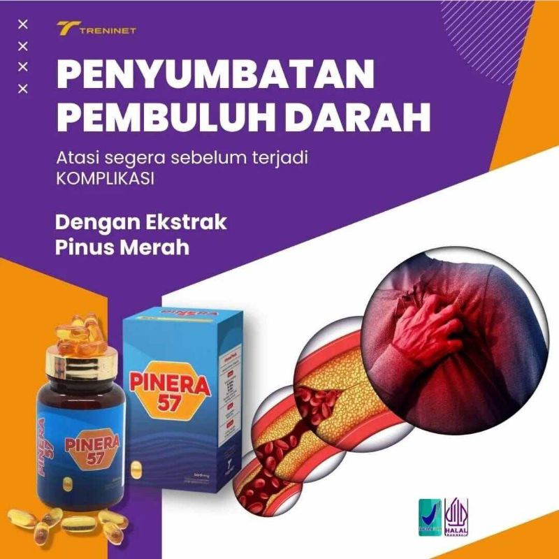 Jual PINERA 57 FISH OIL | OMEGA 3 - EKSTRAK PINUS MERAH - Spesialis ...