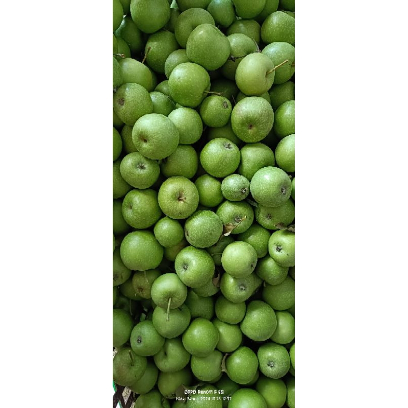 Jual apel Granny Smith lokal mini 1kg 25-27 buah | Shopee Indonesia