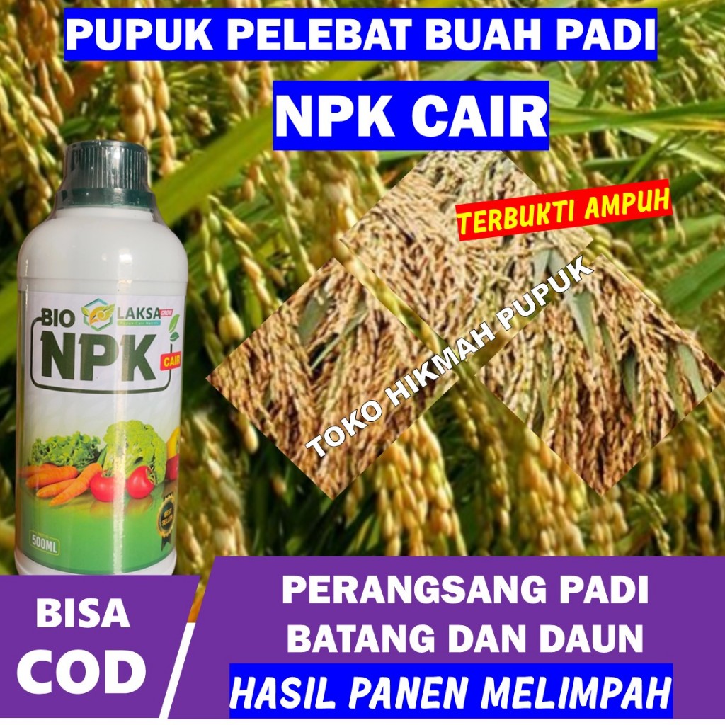 Jual Pupuk NPK PERBANYAK BUAH PADI CEPAT BESAR NPK CAIR LAKSA isi 500 ML Melipatgandakan Hasil ...