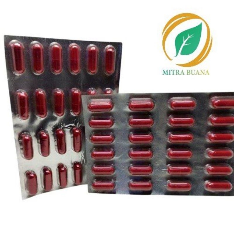 Jual Obat Kuat Lelaki BLISTER Asli Khasiatnya Original pabrik 100% yang ...