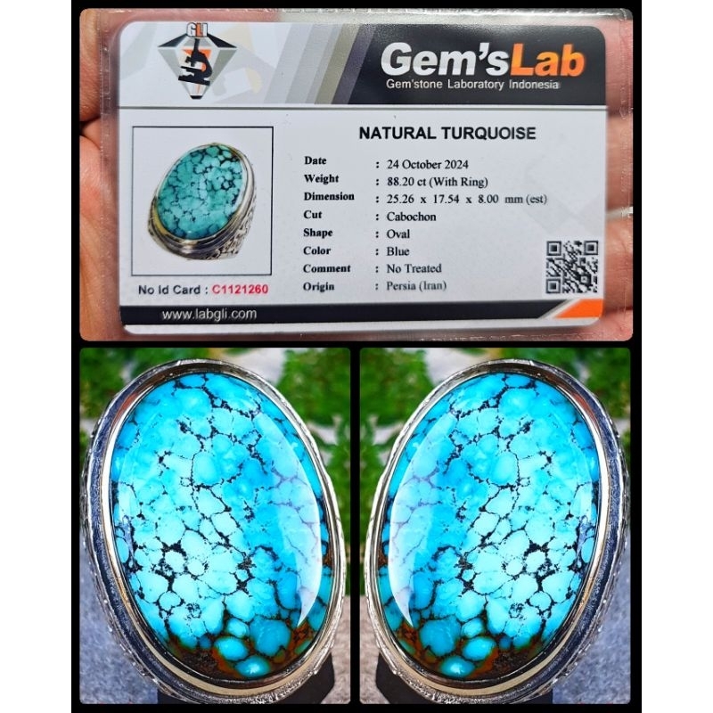 Jual PIRUS JUMBO PERSIAN IRAN GRADASI MULTI COLOUR + sertifikat ...