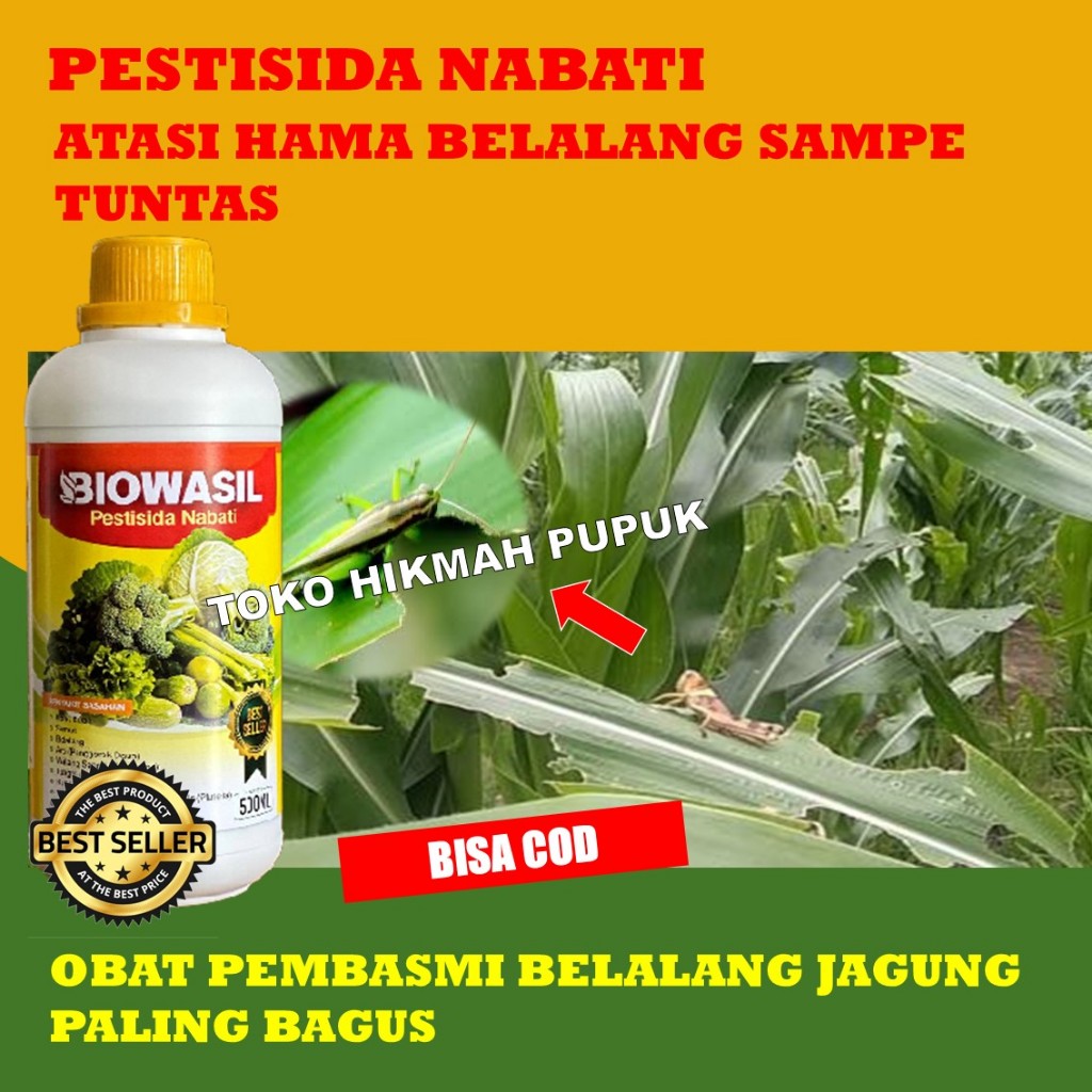 Jual PROMO OBAT HAMA BELALANG PADA TANAMAN PALING MANJUR - OBAT ...
