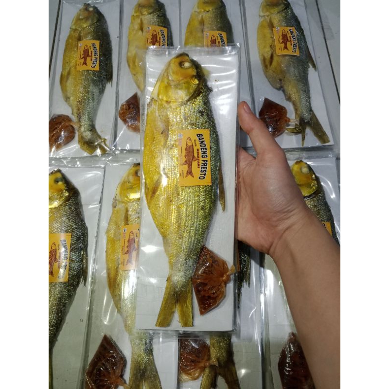 Jual BANDENG PRESTO BESAR (Berat mentah 200-250gr) | Shopee Indonesia
