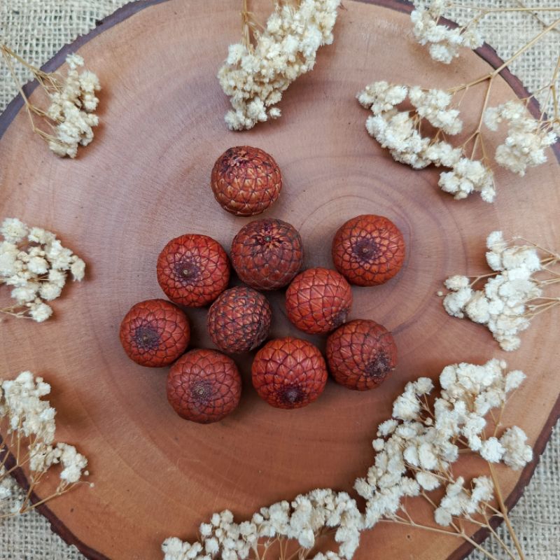 Jual hiasan mahar biji rotan bulat isi 10 bahan mahar kerajinan ...