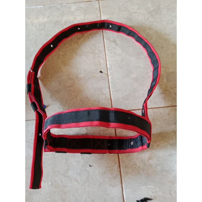 Jual BRANGUS SAPI LEBAR 4 CM | Shopee Indonesia