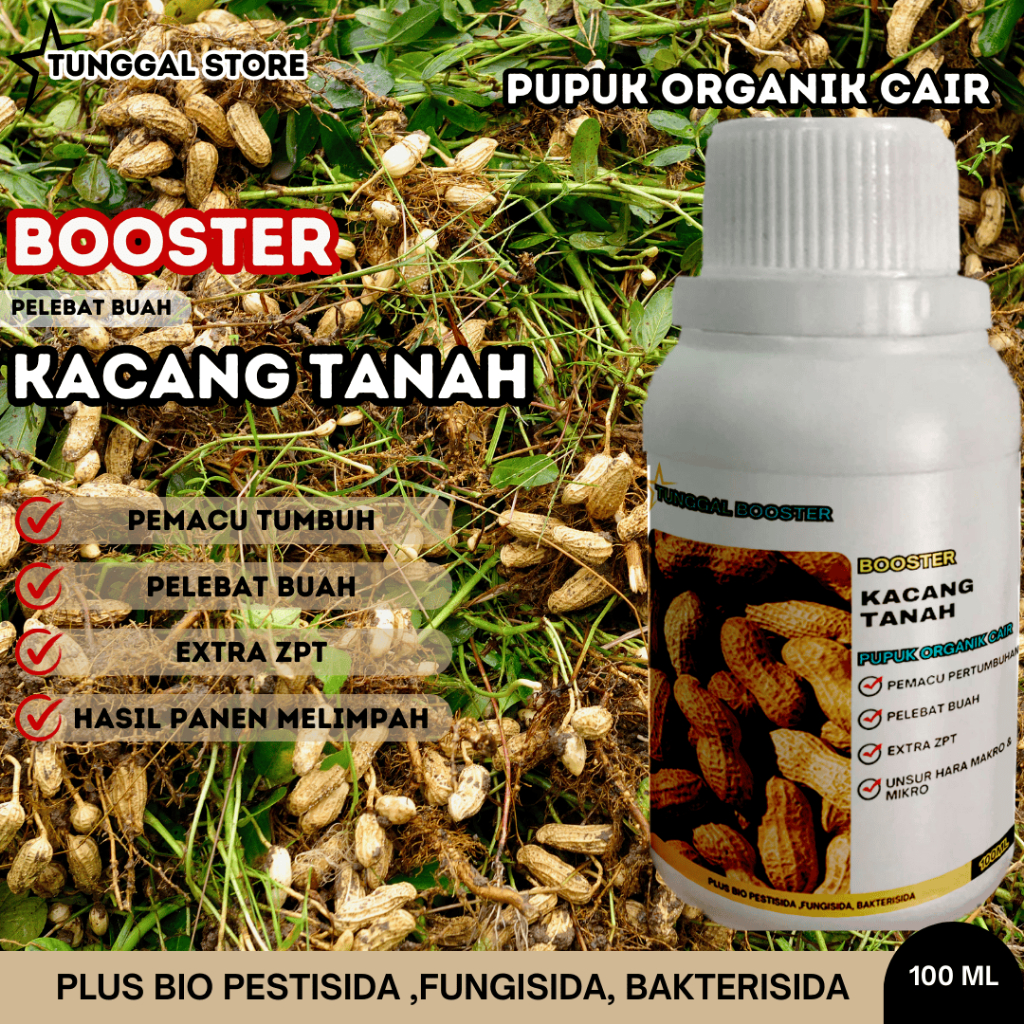 Jual pupuk organik cair tanaman kacang tanah, booster pelebat buah kacang tanah,perangsang masa ...