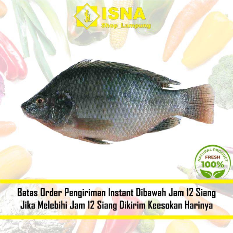Jual Ikan Nila Segar Fresh 1 kg - Sayur Fresh | Shopee Indonesia