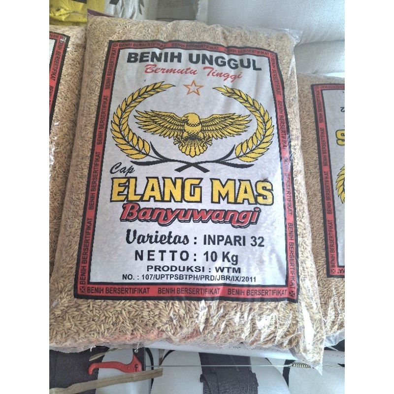 Jual Bibit Padi INPARI 32 Elang Mas - Tahan Hama dan Penyakit, 1kg Asli ...
