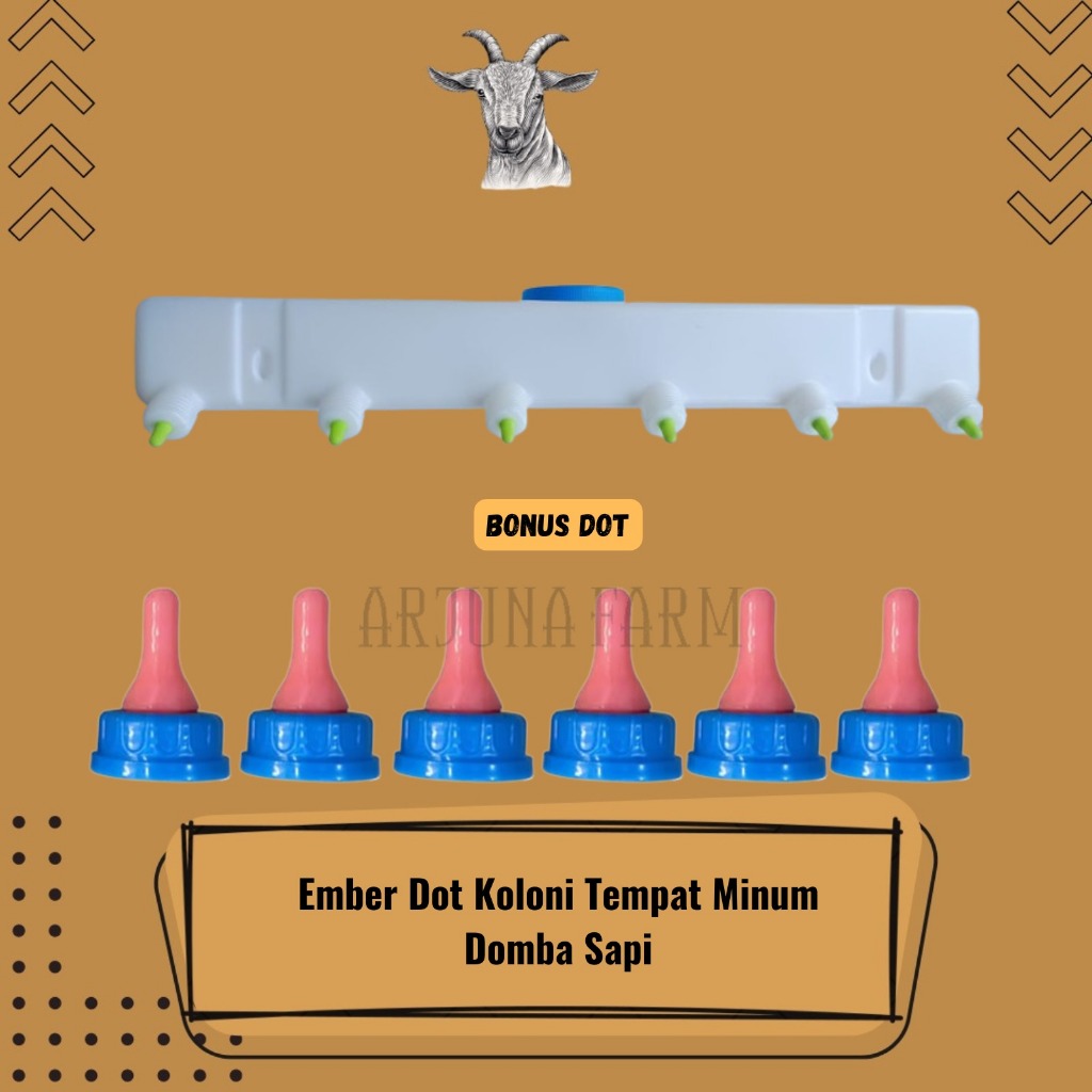 Jual Ember Dot Kambing Cempe Kambing Domba Ember Koloni Bonus 6 Dot ...