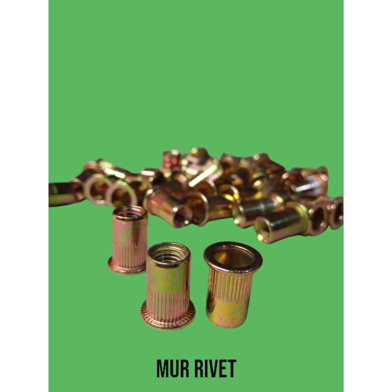 Jual Mur rivet nut rivnut kuning besi/ karbon steel nutsert tanam insert | Shopee Indonesia