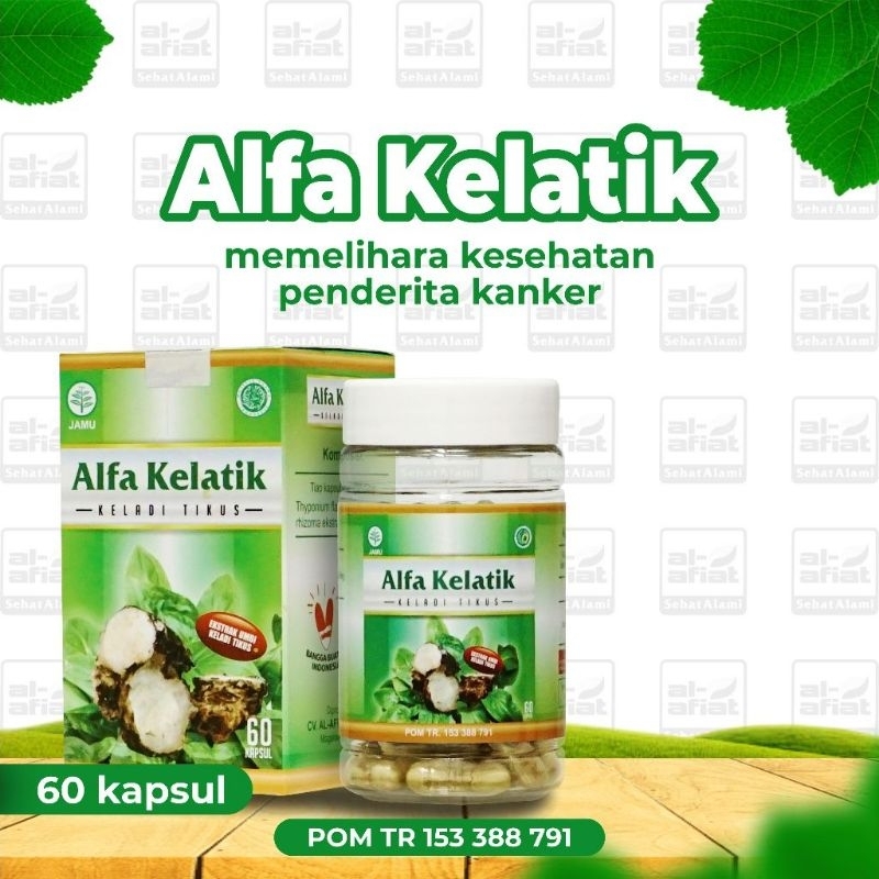Jual Alfa kelatik BPOM kapsul keladi tikus herbal obat kanker | Shopee ...