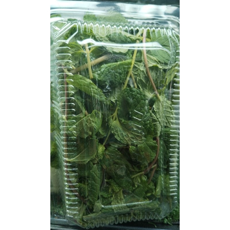 Jual Daun Mint Per pack | Shopee Indonesia