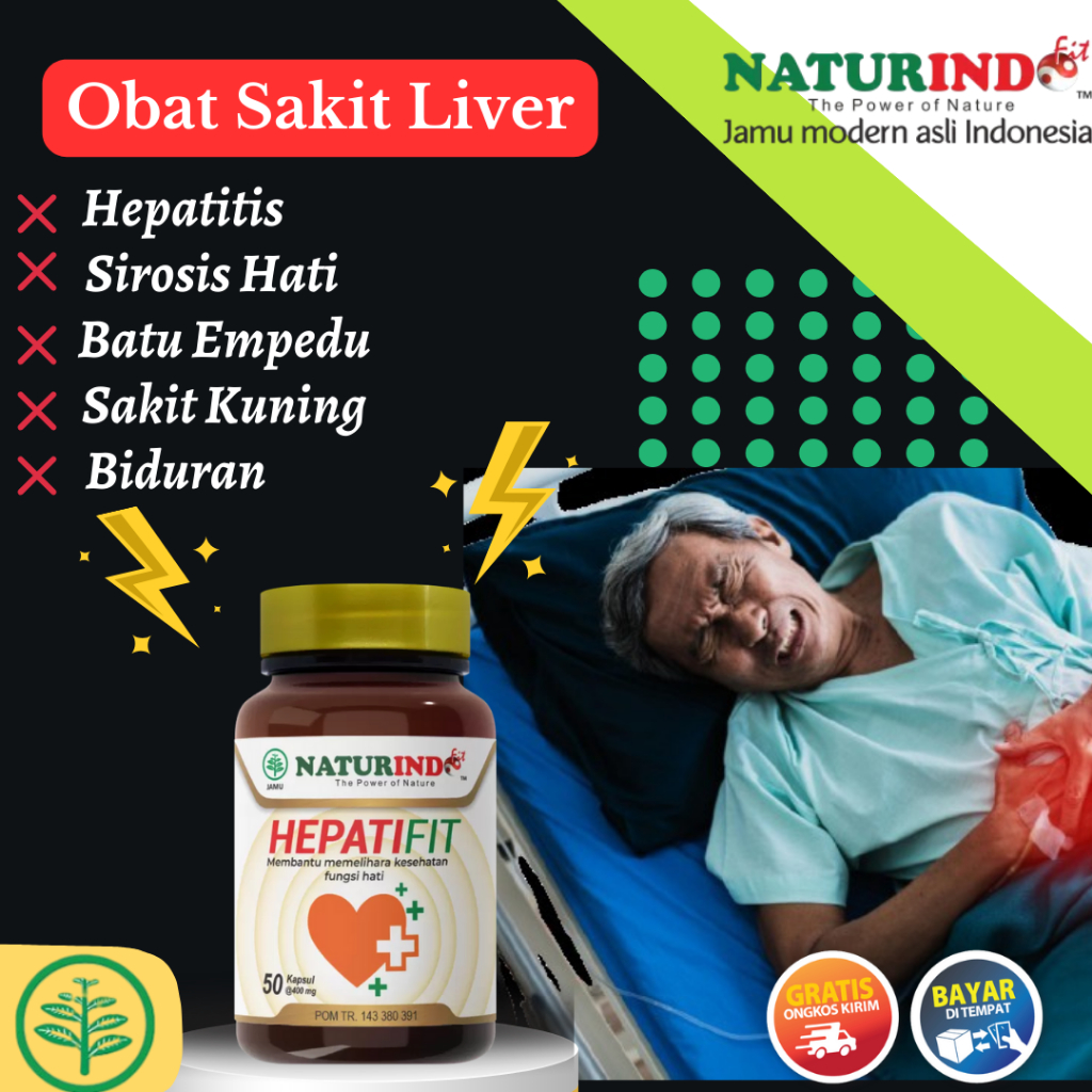 Jual Obat Hepatitis Hepatifit Membantu Penyembuhan Hepatitis A & B SGOT ...