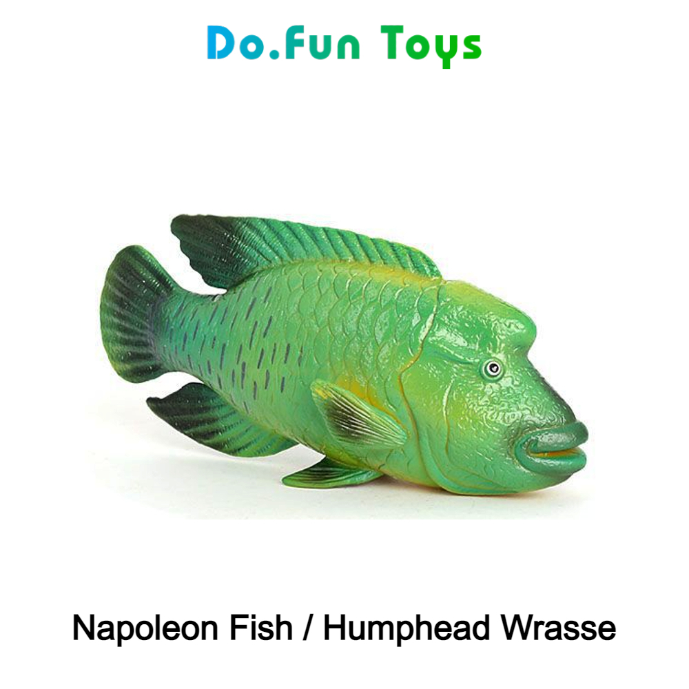 Jual Animal Figurine | NAPOLEON FISH / HUMPHEAD WRASSE / Mainan ...