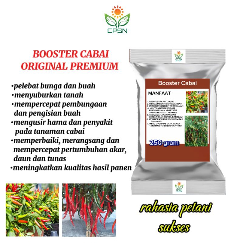 Jual PUPUK PELEBAT BUAH CABAI BOOSTER ORIGINAL PREMIUM pupuk organik pelebat buah dan bunga pada ...