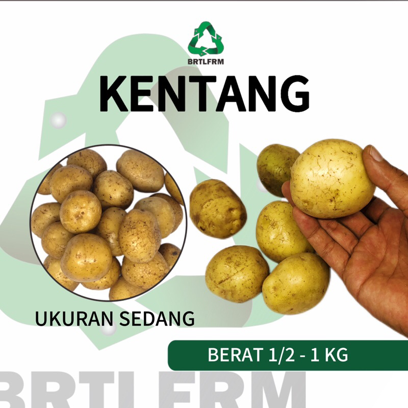 Jual KENTANG SEDANG 1 KG | Shopee Indonesia