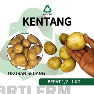 Jual Kentang 1 Kg Terlengkap & Harga Terbaru Juni 2025 | Shopee Indonesia