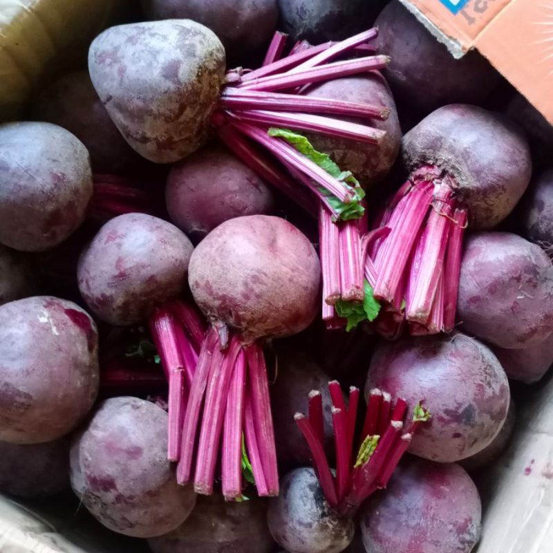 Jual Buah bit beet root 1kg | Shopee Indonesia