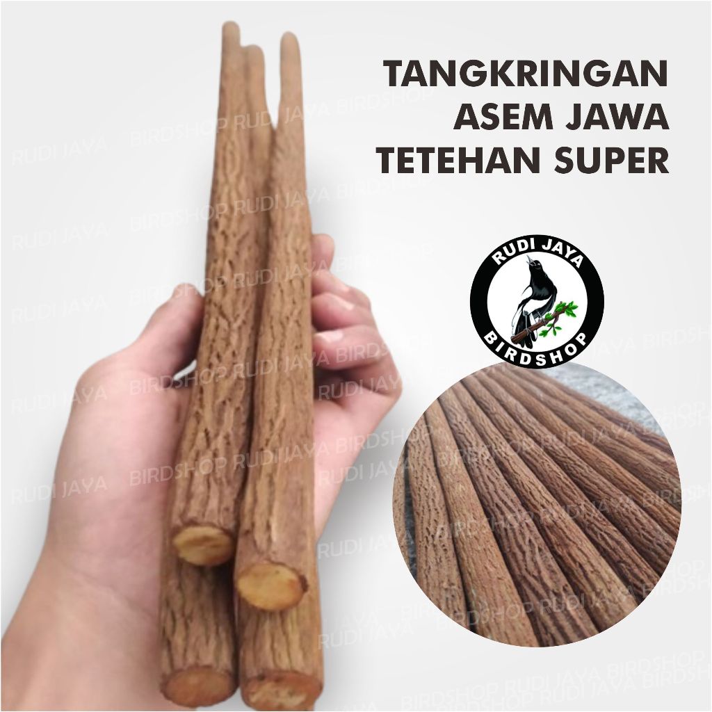 Jual TANGKRINGAN ASEM JAWA TETEHAN SUPER LOMBA BURUNG PLECI DIJAMIN ...