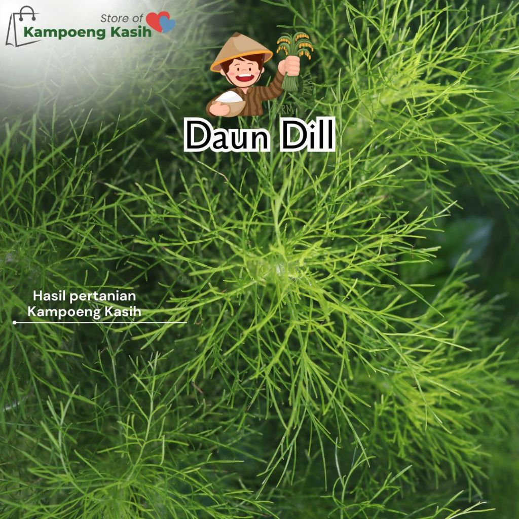 Jual Daun Dill/Adas 100 Gram/Daun Rempah | Shopee Indonesia