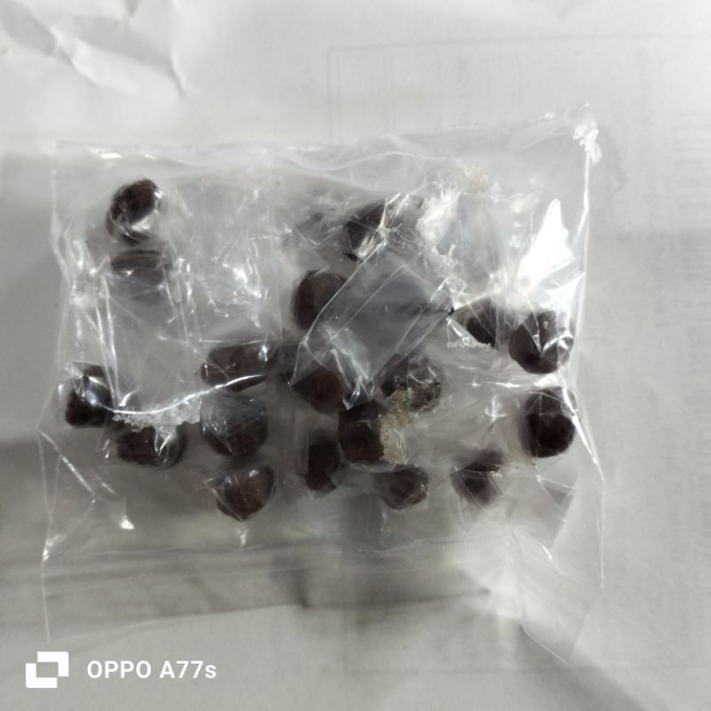 Jual getah inggu asli isi 25 butir original | Shopee Indonesia