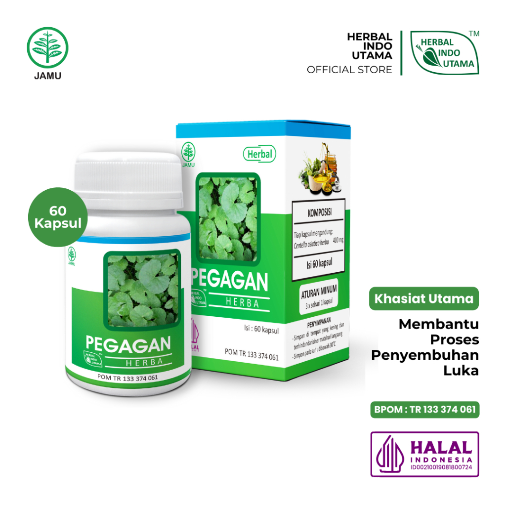 Jual PEGAGAN Herbal Daun Pegagan Melancarkan Sirkulasi Darah Herbal ...